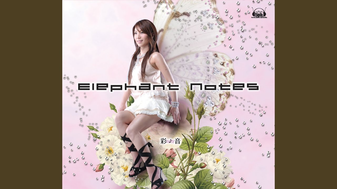 DOLPHIN☆JET - YouTube