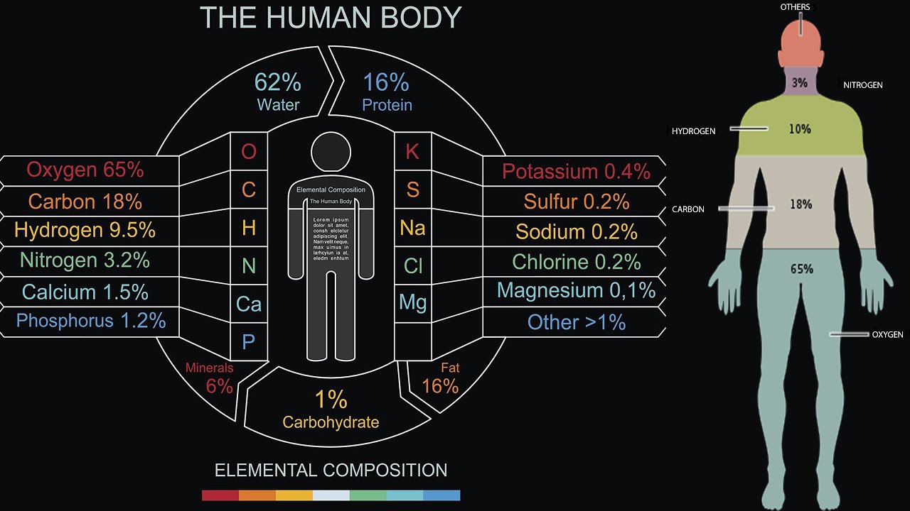 Zola Bantu Lecture 2: Composition of Man - YouTube