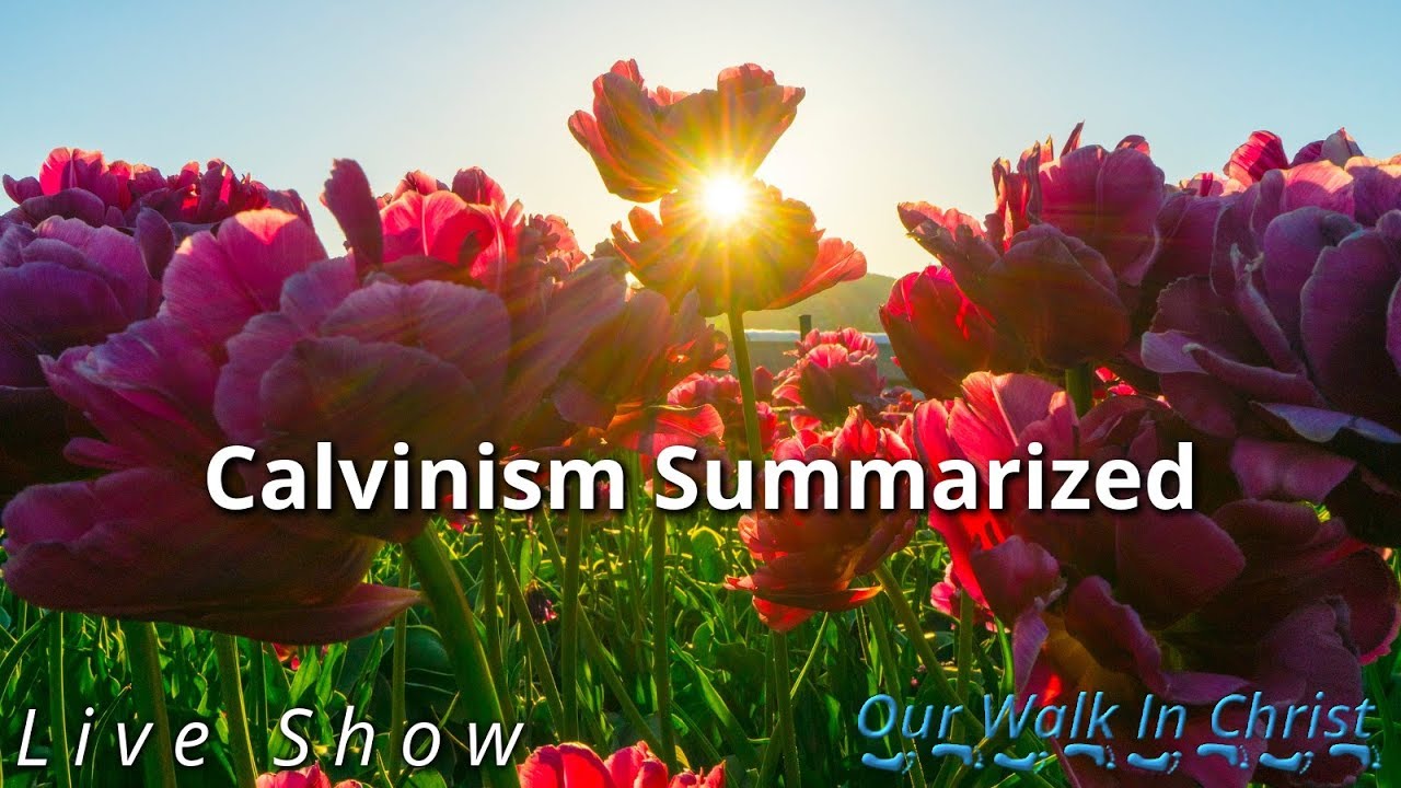 A Summary of Calvinism - YouTube
