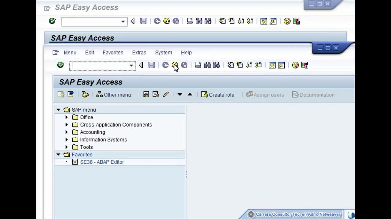 SAP BASIS | Tutorial Navegación en SAP GUI | CVOSOFT - YouTube
