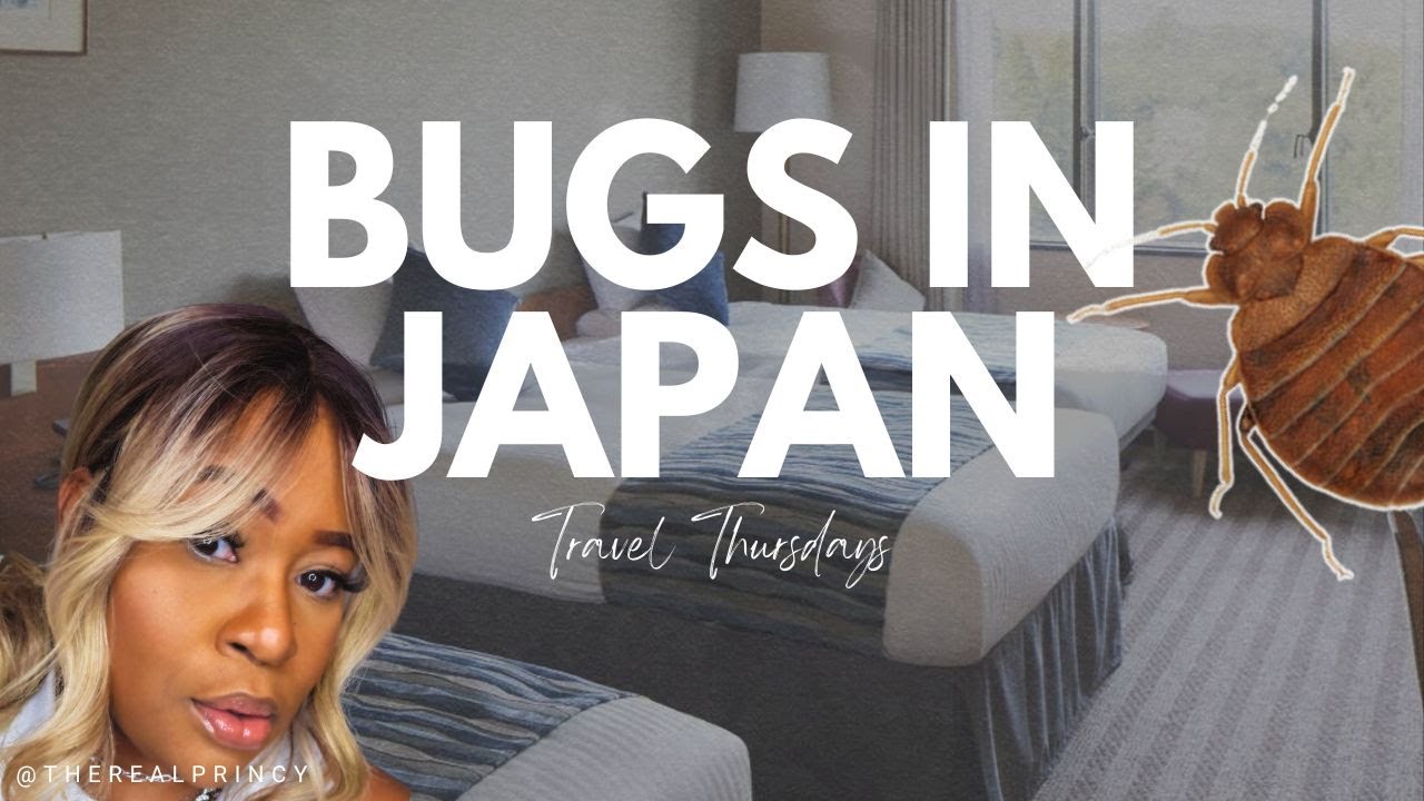 JAPAN VLOG 5 | FIRST NIGHT IN JAPAN ... BUGS??? #japan #japantravel # ...