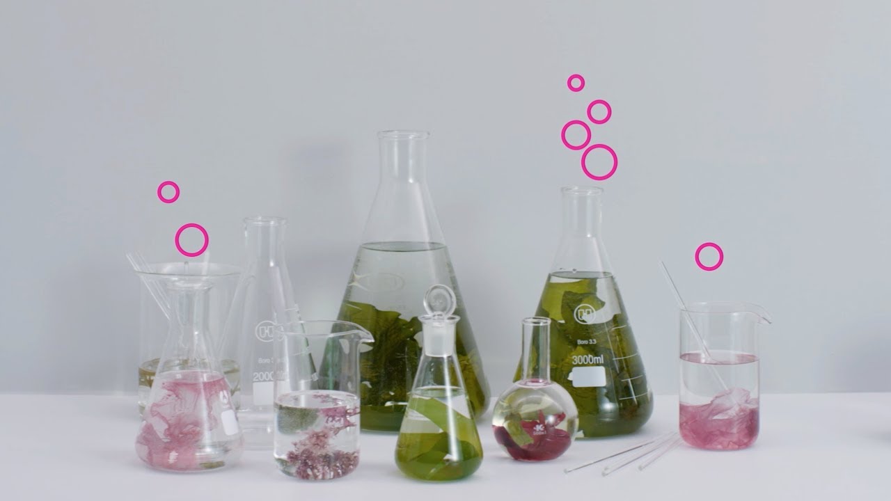 Global Change Award Winner 2018: Algaeing - YouTube