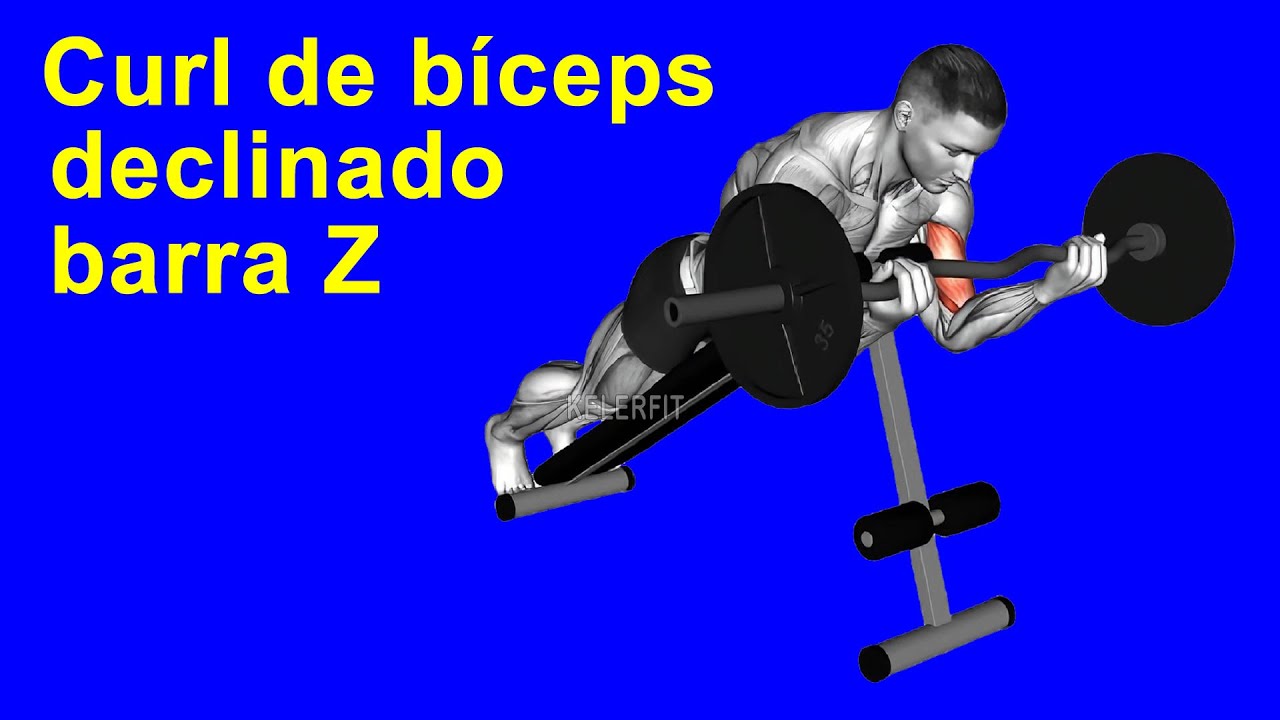 Ejercita el bíceps con curl con barra Z declinado - YouTube