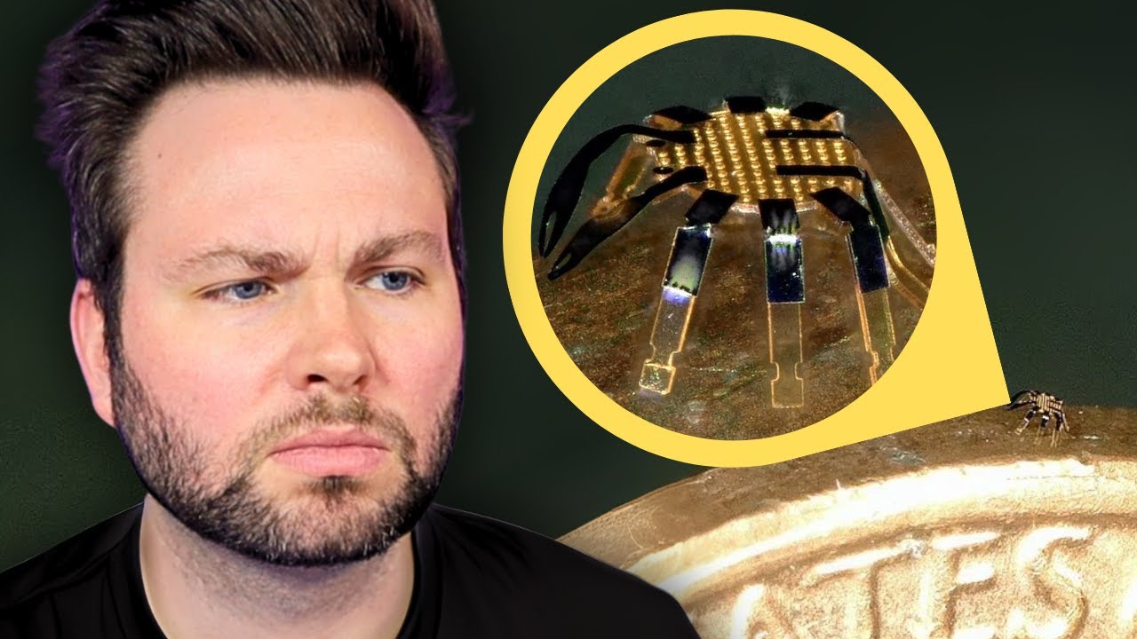 Crazy Things Happening In The World - YouTube