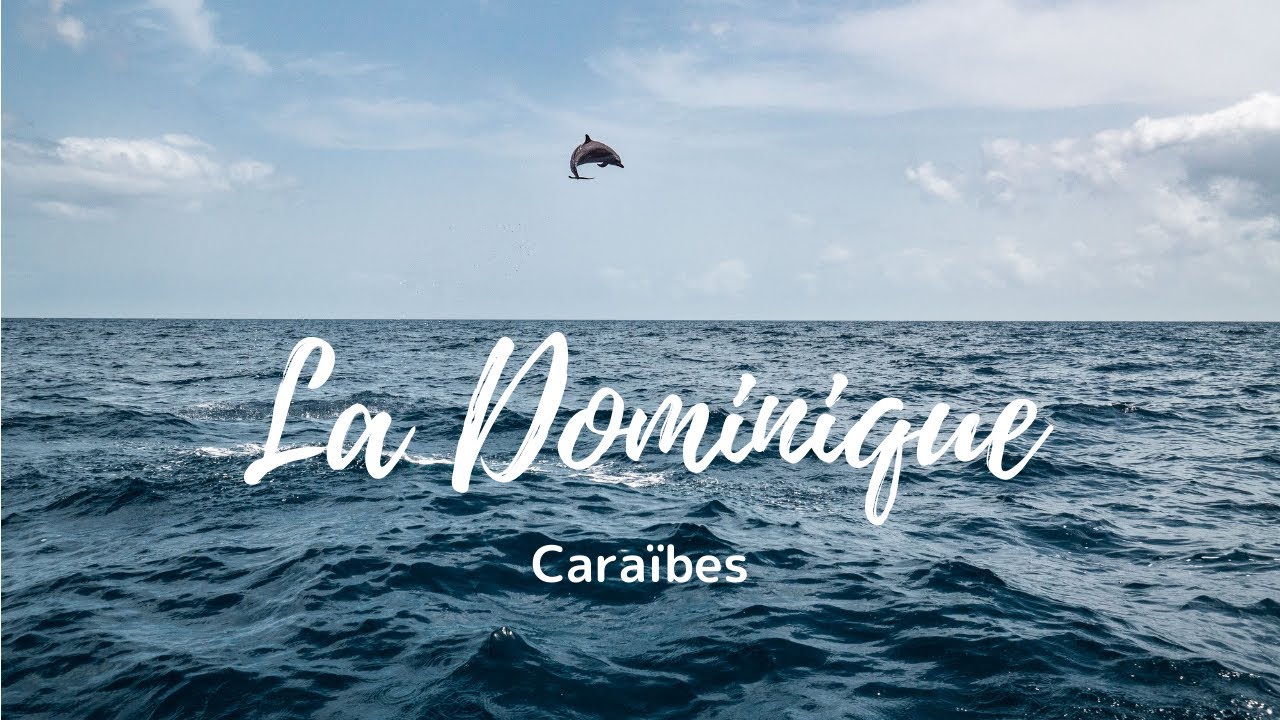 Voyage à la Dominique - séjour pleine nature - YouTube