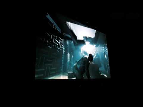 Crowd reaction to \