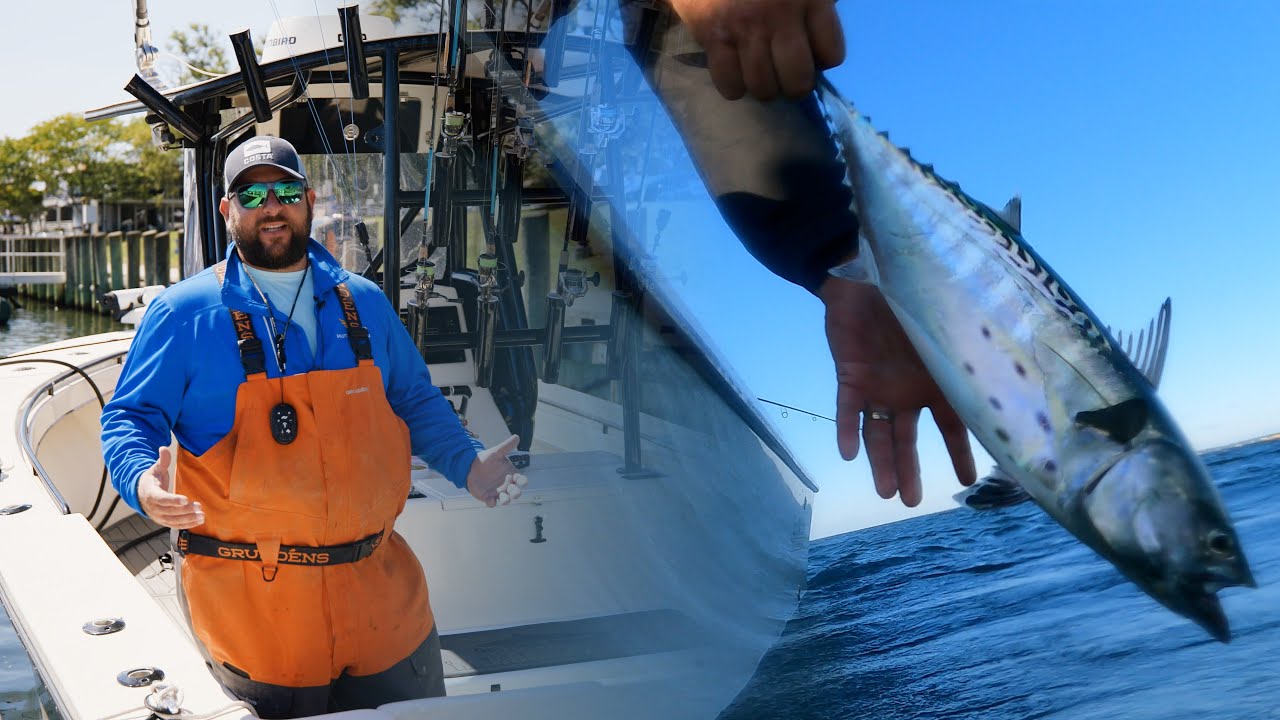 Gearing Up for Albies with Capt. Brian Coombs | Rods, Reels, Lures ...