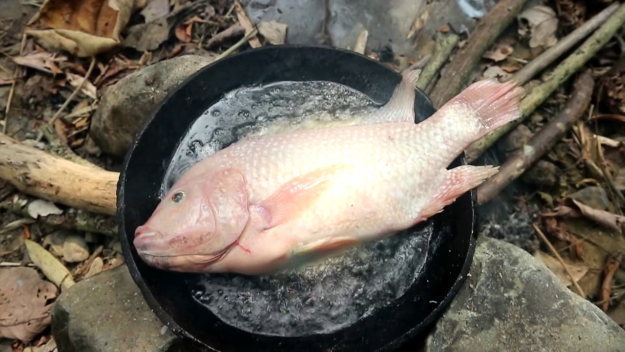 Survival skills: Catch fish in water flow by hand & fried for food ...