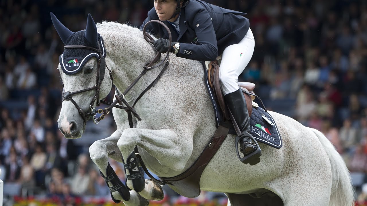 Born For This by The Score || Showjumping Equine Music Video - YouTube