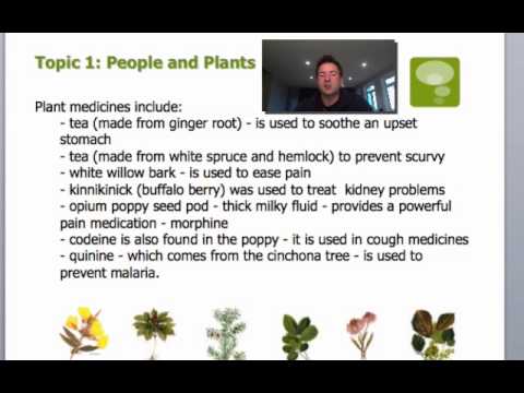 Science 7 Plants for Food and Fibre Topic 1 Plants for Medicine - YouTube