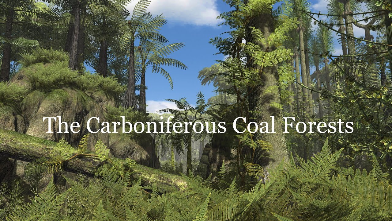 The Carboniferous Coal Forests - BiomeBios #1 - YouTube