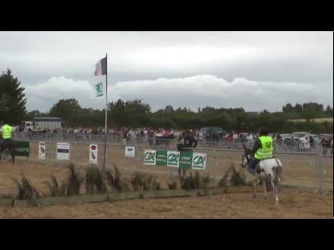 Course d'Anes à Gisay la Coudre