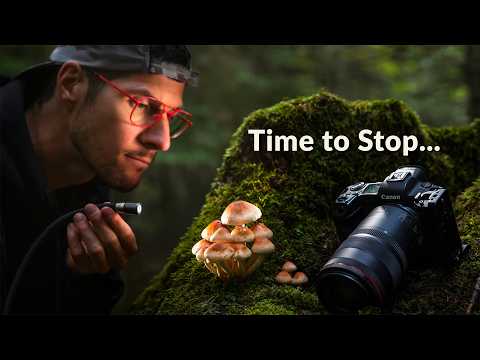 Den richtigen Moment finden | Makrofotografie