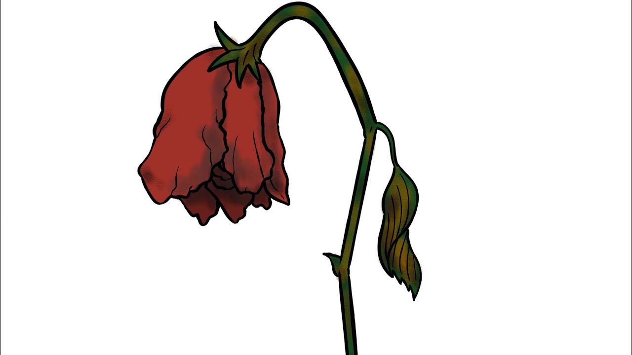 How to Draw DEATH ROSE | SIMPLE DRAWING - YouTube