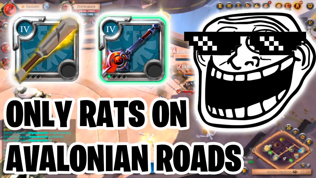 🐀ONLY RATS ON AVALONIAN ROADS🐀 | THE PROFESSIONAL RAT | ALBION ONLINE ...