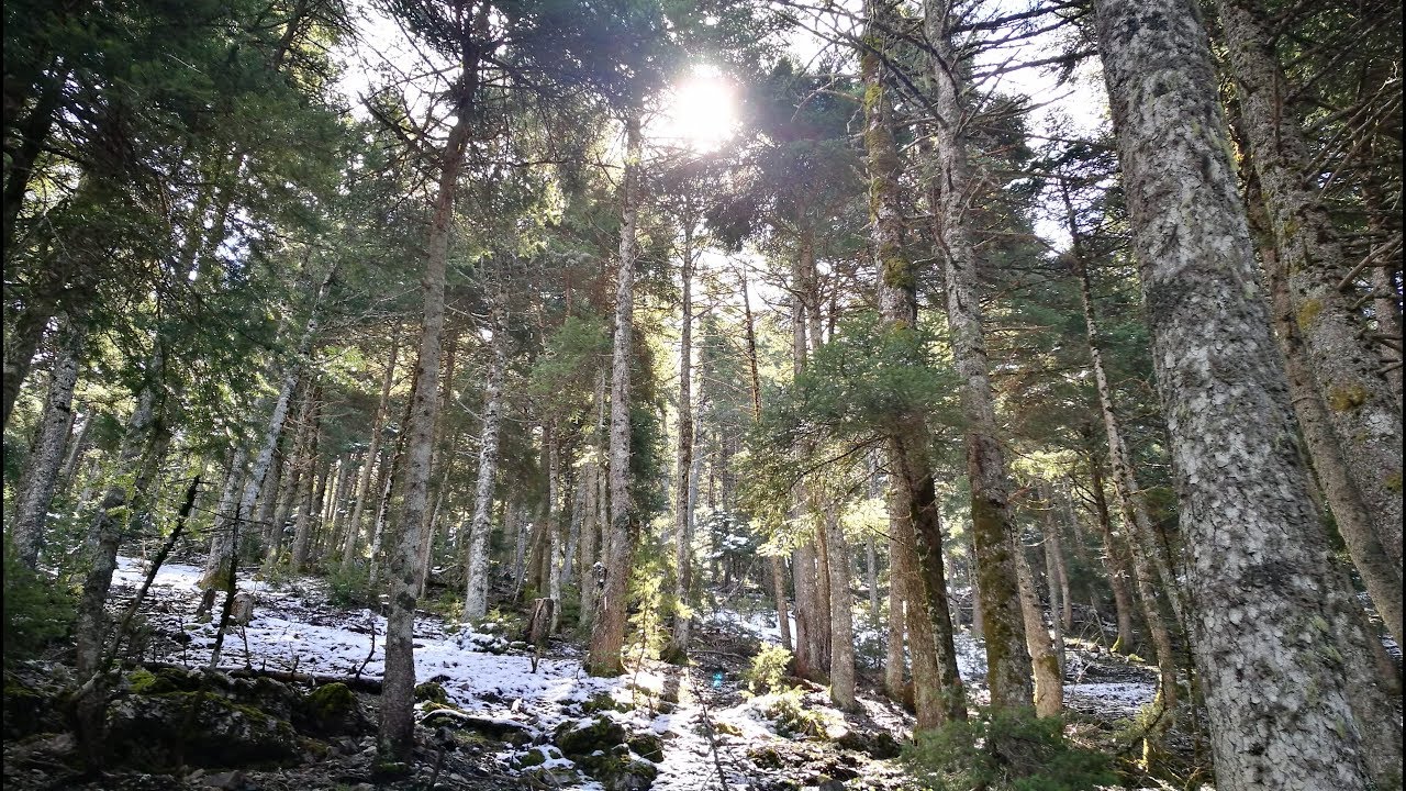 Βαλτεσινίκο - Λαγκάδια 31-03-2019 (is_pk) ΣΥΝΟΔΟΙΠΟΡΟΙ ΣΤΗ ΦΥΣΗ - YouTube