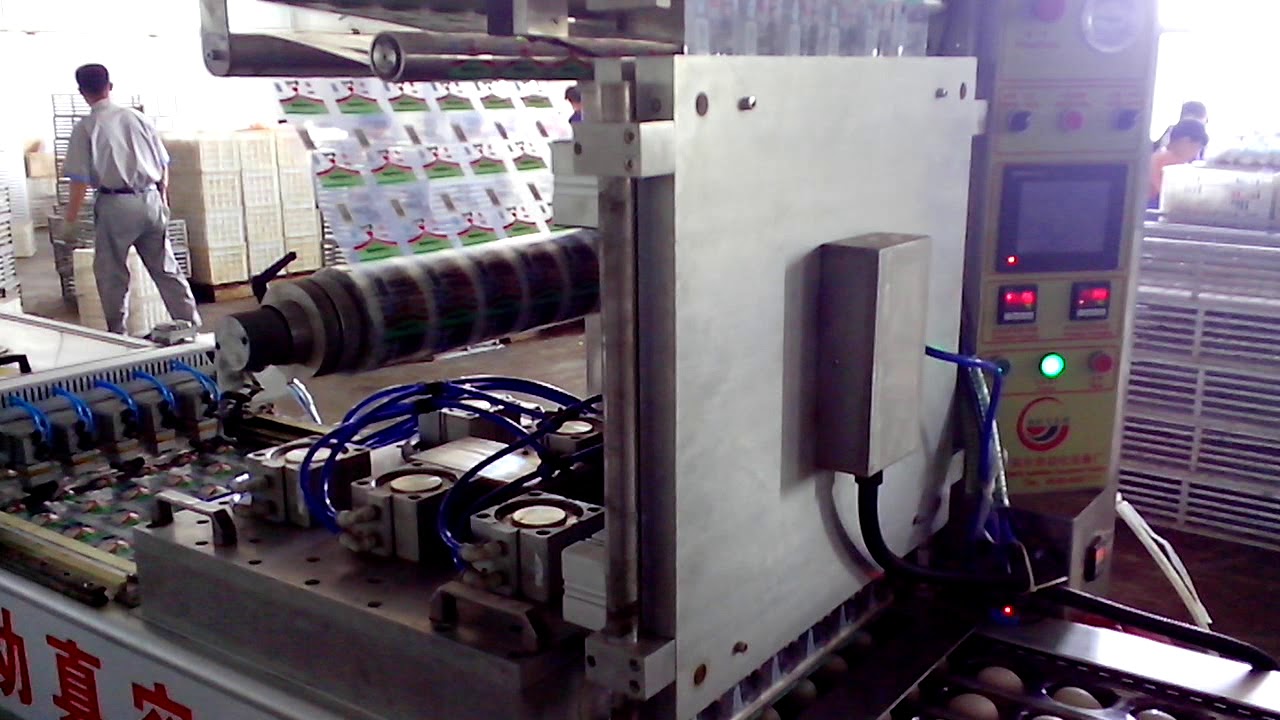 Thermoforming egg packaging machine - YouTube