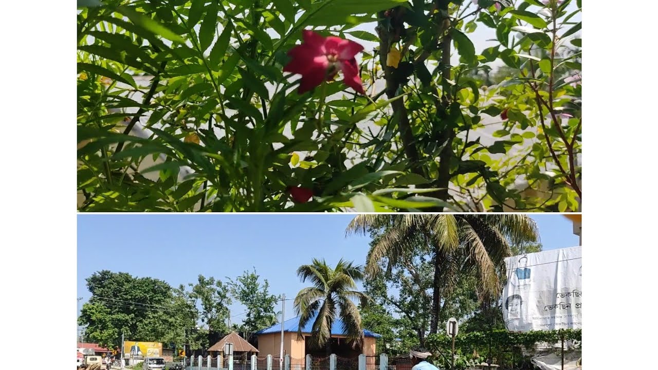 furibo goisilu mane🥰 - YouTube