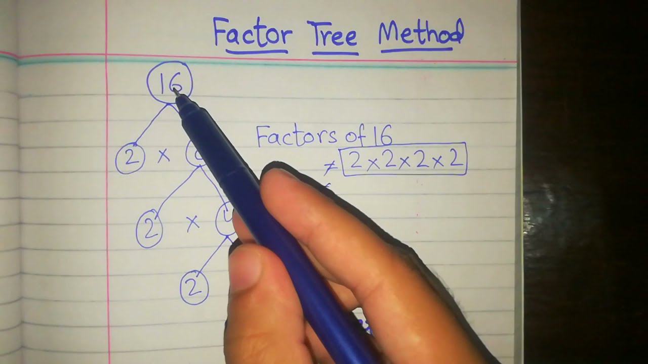 Factor Tree of 16|Prime Factorization of 16 - YouTube