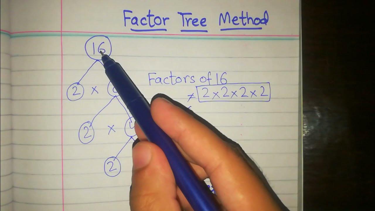 Factor Tree of 16|Prime Factorization of 16 - YouTube