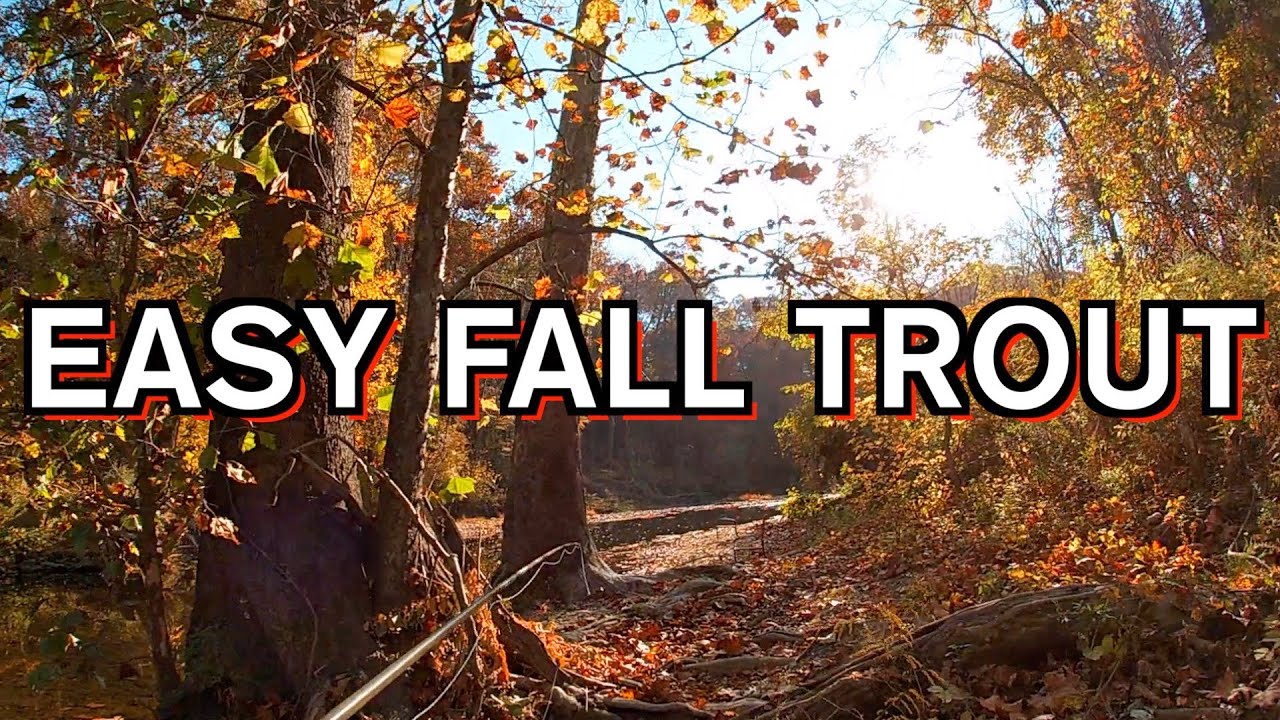 EASY Fall FLY FISHING for TROUT (Creek Fishing) - YouTube