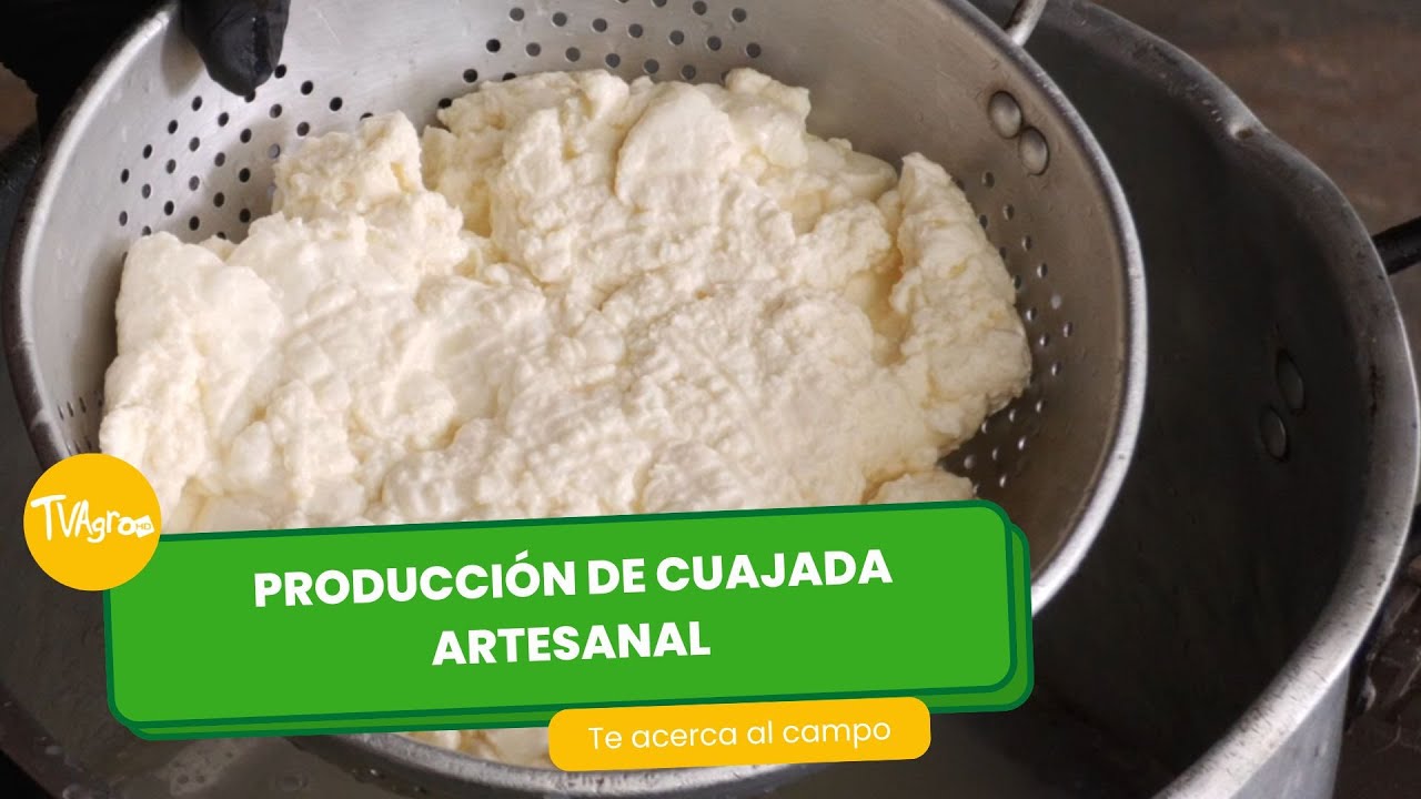 Producción de cuajada artesanal - TvAgro por Juan Gonzalo Angel ...