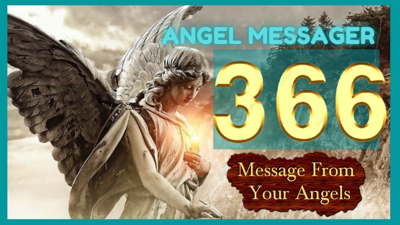 🎯Angel Number 366 Meaning ️connect with your angels and guides - YouTube