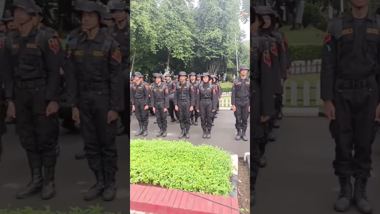 Live Persiapan Catar Poltekip 59 dan Catar Poltekim 27 Apel Pagi - YouTube