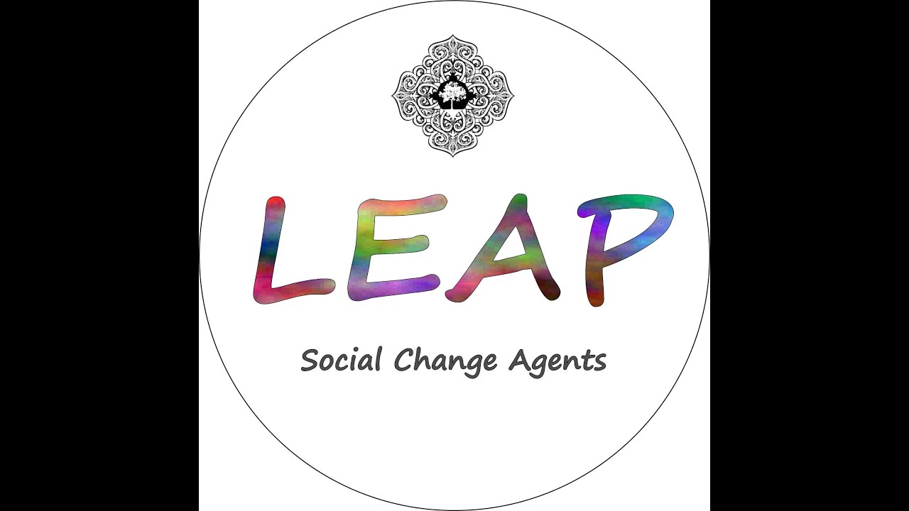 The LEAP Program YouTube the-leap-program-youtube