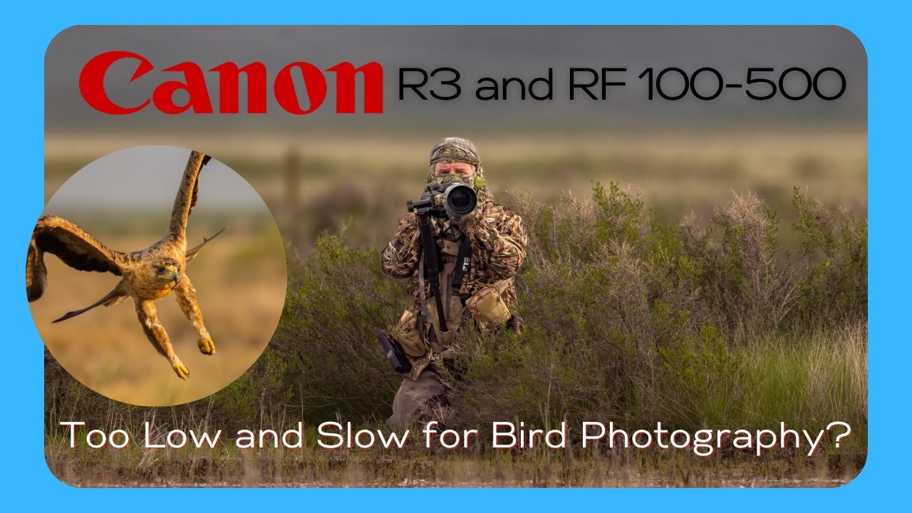 Canon R3 and RF 100-500mm, too Low and Slow for Bird Photography? - YouTube