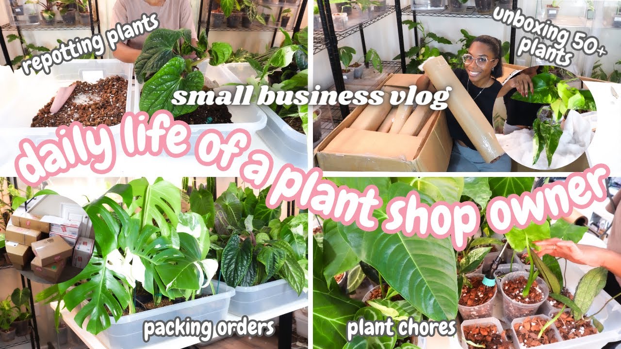 Running A Rare Plant Shop From Home |Huge Plant Shipment & Unboxing ...