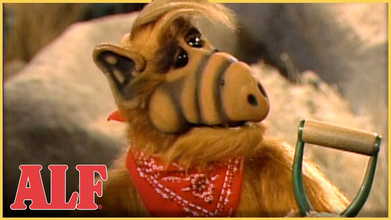 Can ALF Find the Buried Treasure? 💰 | S4 Ep20 Clip - YouTube