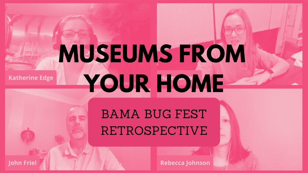 Museums From Your Home: Bama Bug Fest Retrospective - YouTube