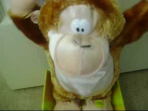 everybody dance now by bob sinclair, monkey style - YouTube