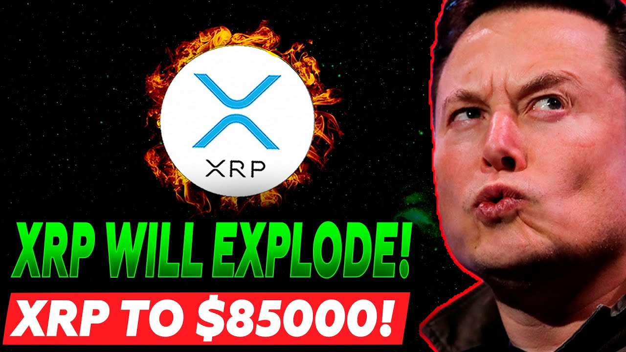 This Is How Much Money XRP You Can Make When Ripple Wins The SEC