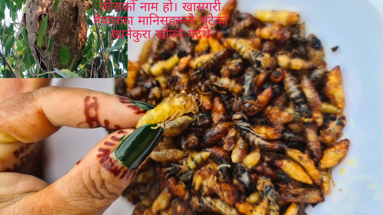 अरिंगल नेपाली मौरी जस्तै वनमा हुने एक किसिमको कीराको नाम हो। खासगरी ...