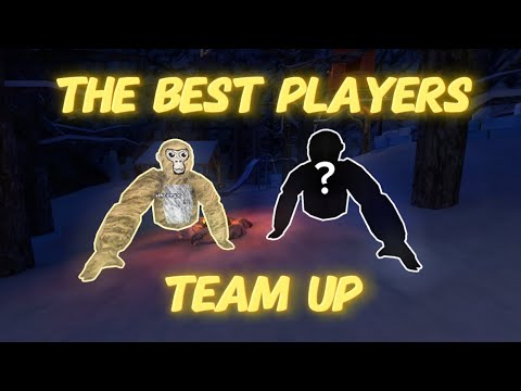 I Teamed Up With The BEST Gorilla Tag Player, And We 2v4ed An Official ...