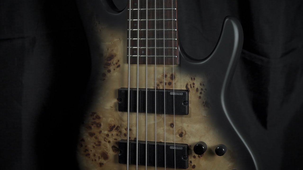 ESP/LTD D-6 Six String Bass - YouTube