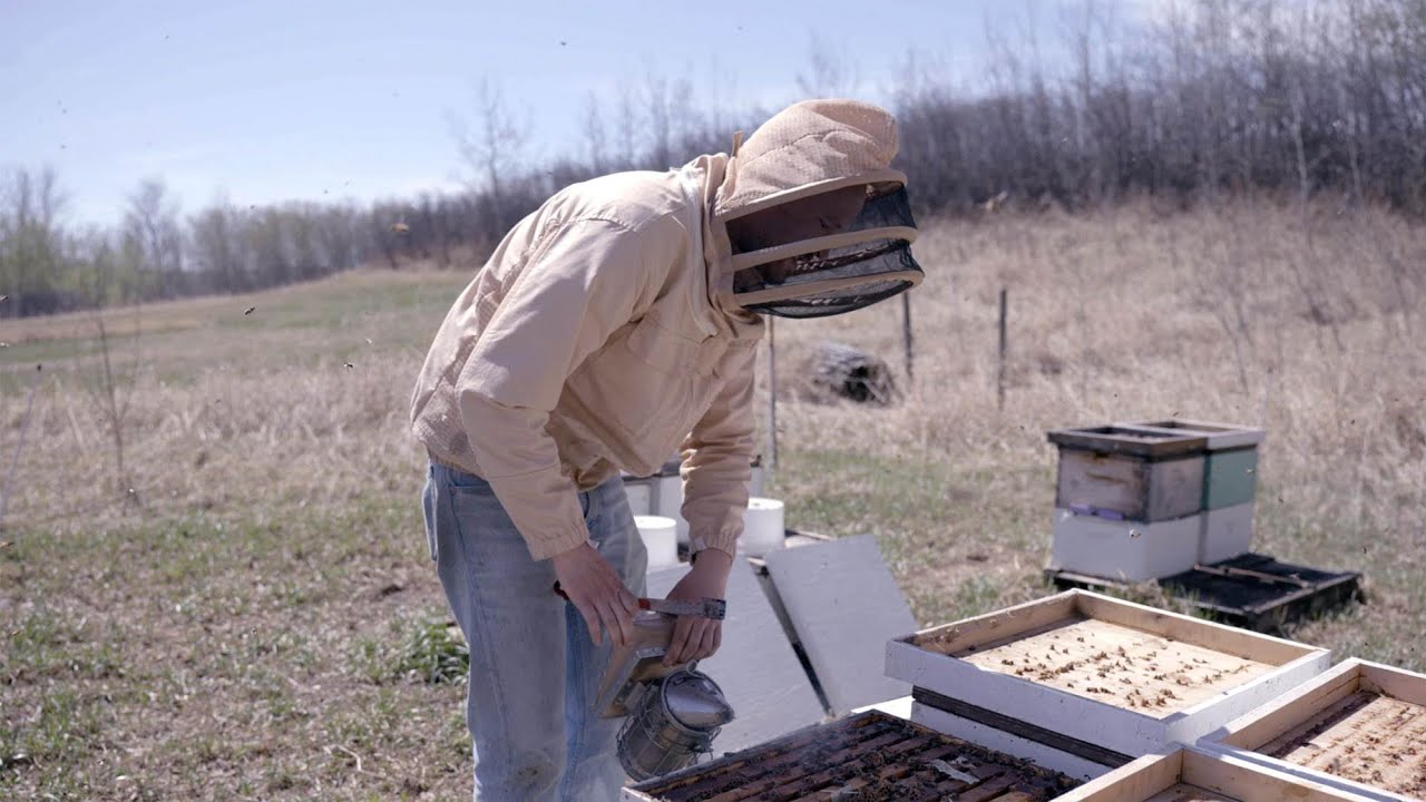 Occupational Video - Beekeeper - YouTube