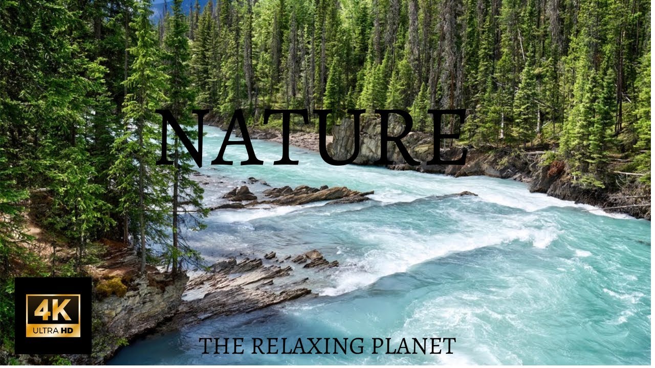4K RELAXING VIDEO | NATURE | 4K UHD - YouTube