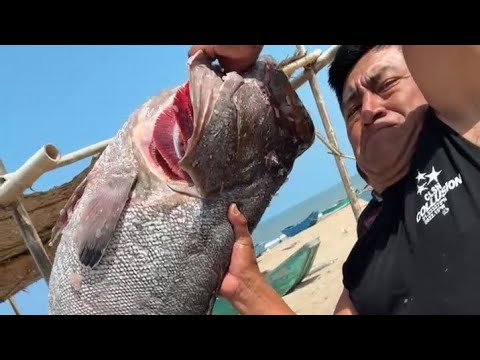 Un rico mero morique en sechura piura - YouTube