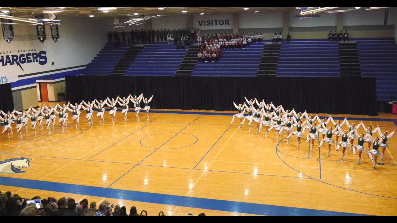 Crowd Pleasers Dance Competition - TWHS Highsteppers Team Kick - YouTube