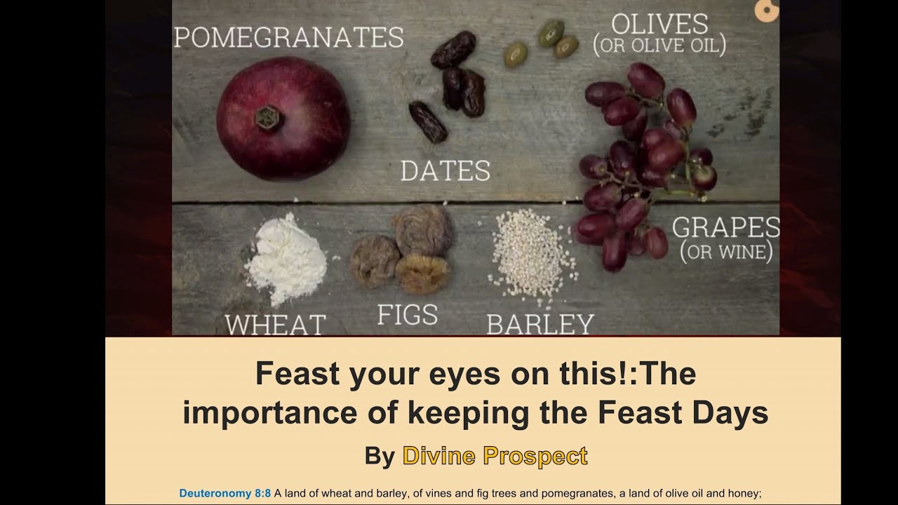 "Feast your eyes on this!" lecture by Divine Prospect - YouTube