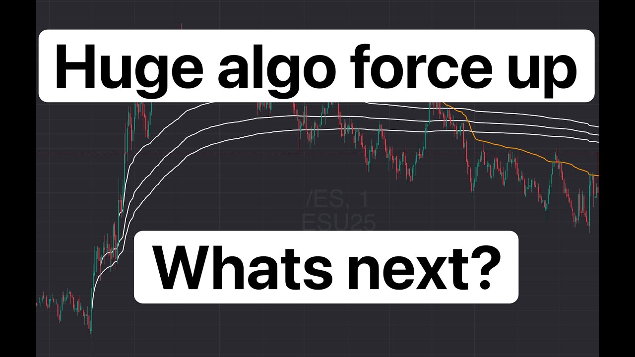 the big force up algo! big levels to watch! how to trade it! - YouTube