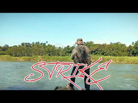 Fly Fishing for Lampam (Tinfoil Barb), Malaya Nymphing Style..