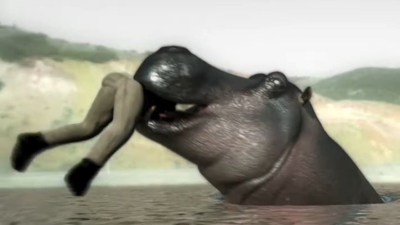 Hippo eats person (Z2) - YouTube