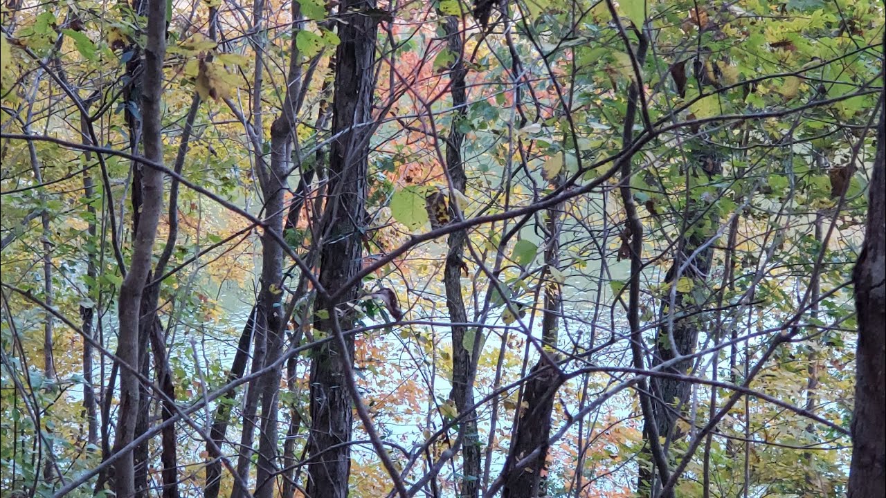 Autumn adventure - YouTube