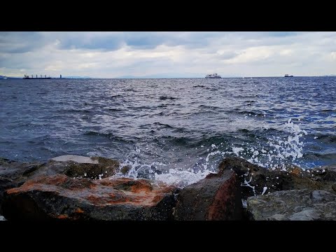 | Deniz Anlatıyor Mu Beni Sana | 🎵 KENT ŞARKILARI