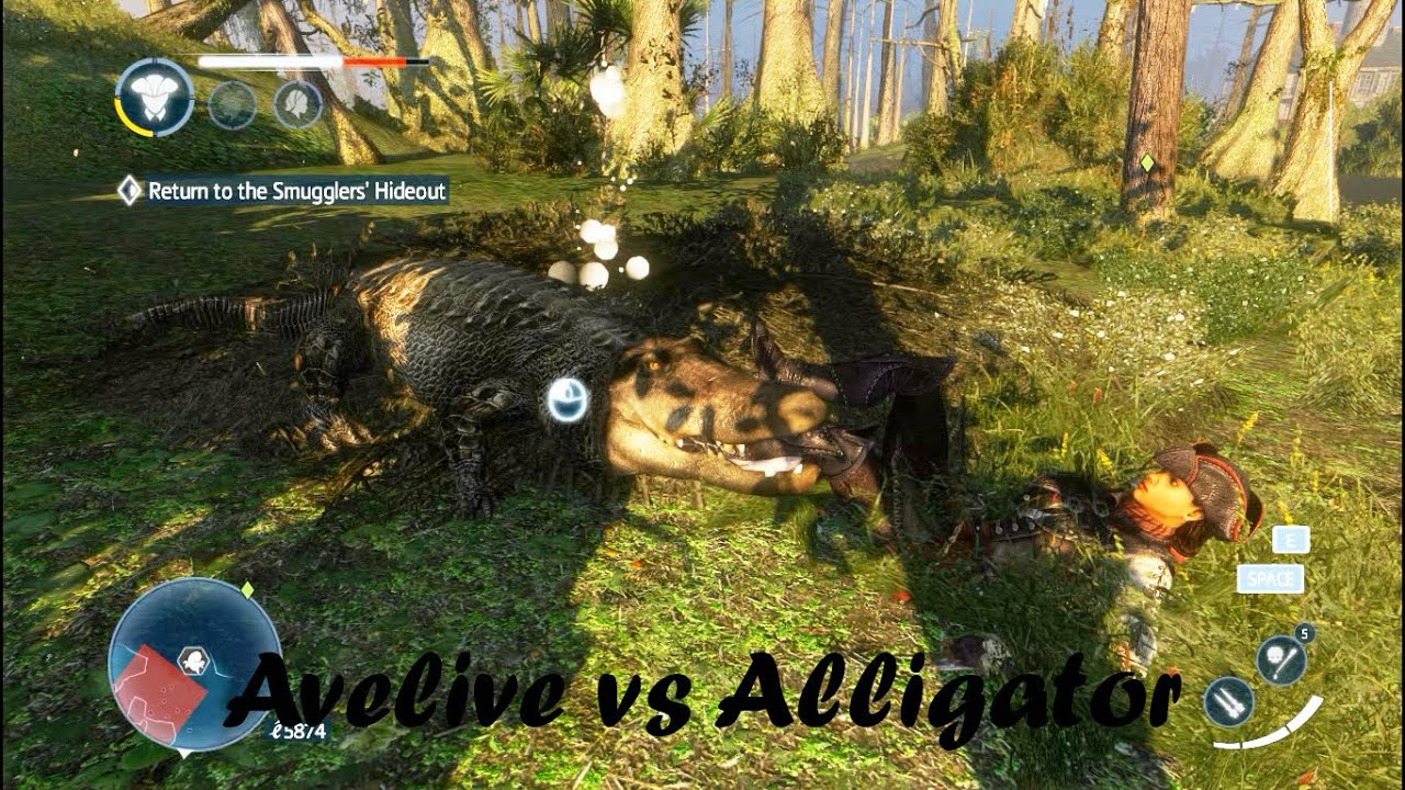 Assassins Creed Liberation - Aveline vs Alligator - YouTube