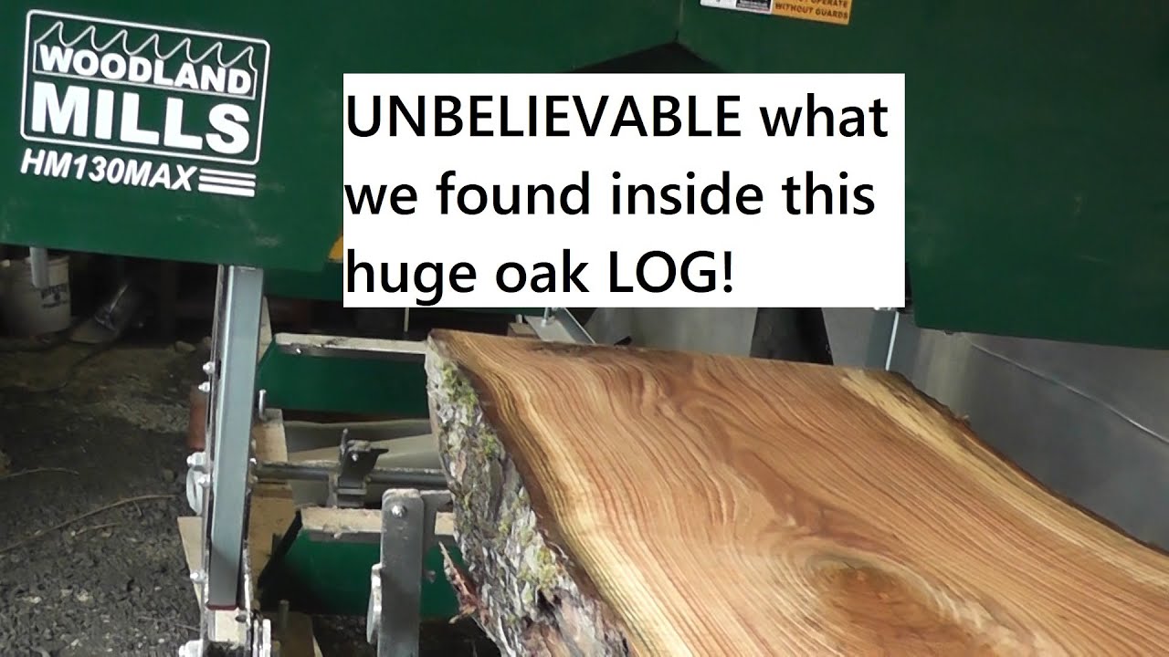 TREASURE found inside the large oak log | First big job for the HM 130 ...